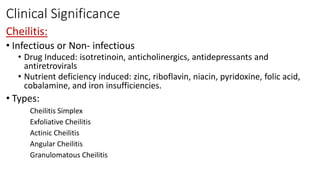 Anatomy of Oral Cavity with applied anatomy.pptx