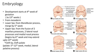 Anatomy of Oral Cavity with applied anatomy.pptx