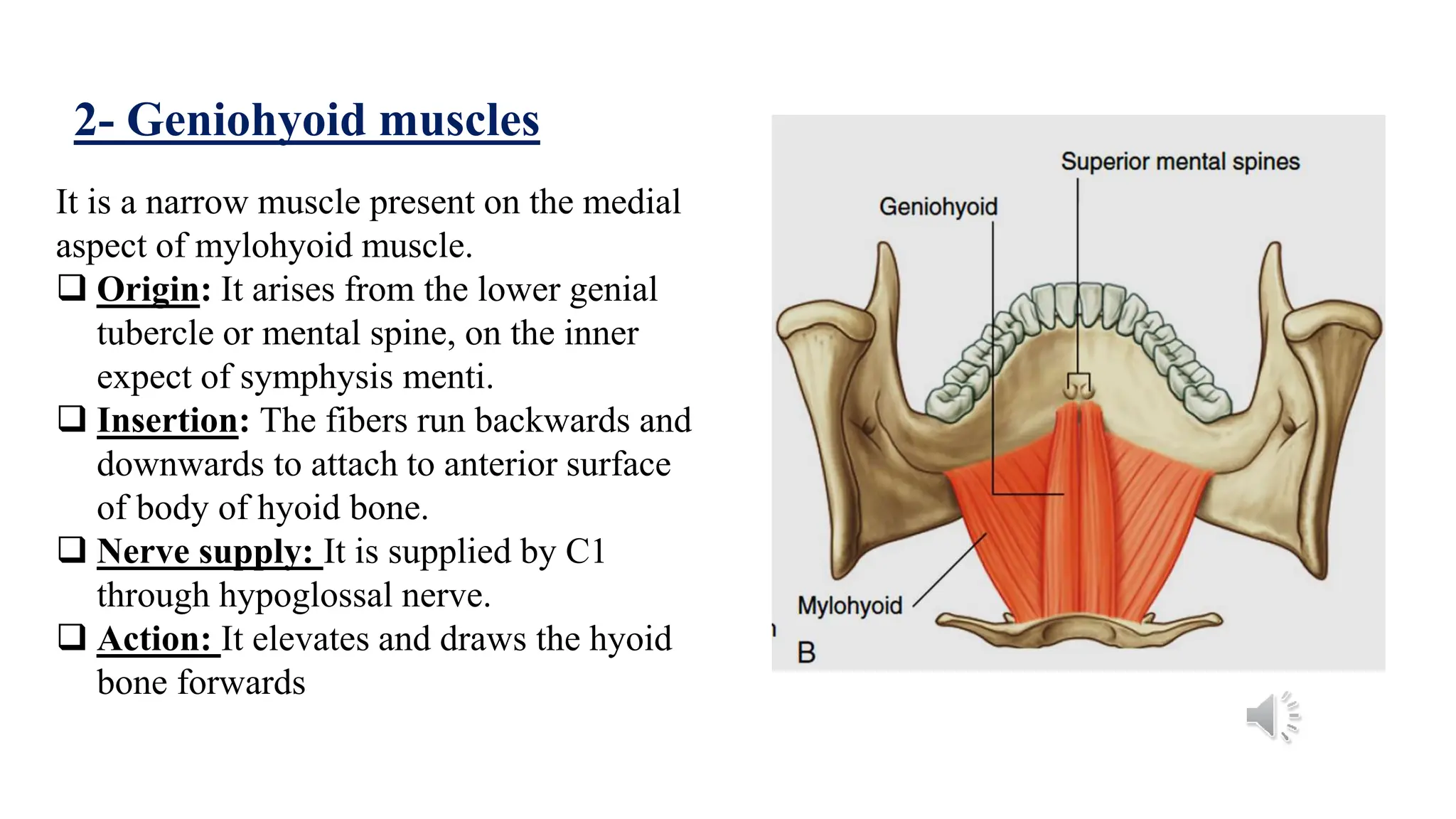 Anatomy of the Oral cavity and tongue .ppsx