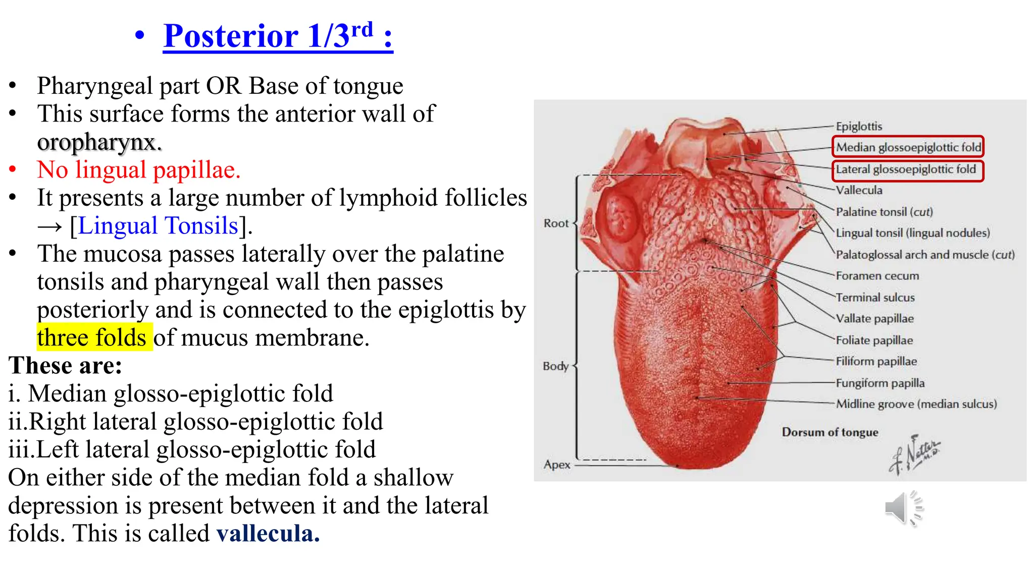 Anatomy of the Oral cavity and tongue .ppsx