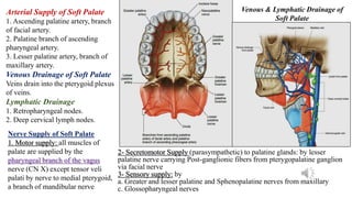 Anatomy of the Oral cavity and tongue .ppsx