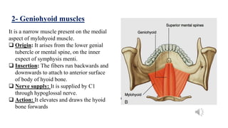 Anatomy of the Oral cavity and tongue .ppsx