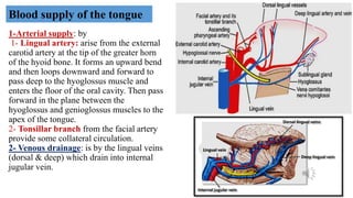 Anatomy of the Oral cavity and tongue .ppsx