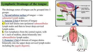Anatomy of the Oral cavity and tongue .ppsx