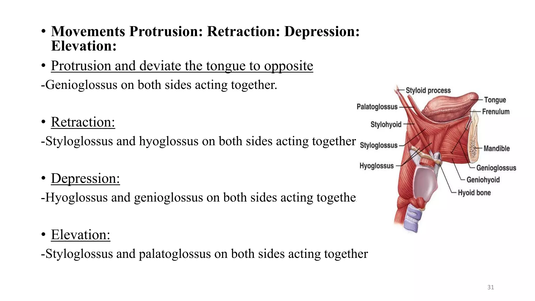 Anatomy Of Oral Cavity And Oropharynx.pptx