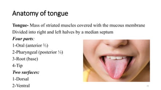 Anatomy Of Oral Cavity And Oropharynx.pptx