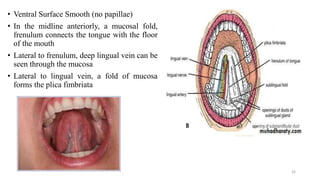 Anatomy Of Oral Cavity And Oropharynx.pptx