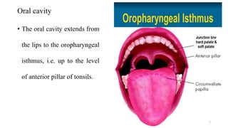 Anatomy Of Oral Cavity And Oropharynx.pptx