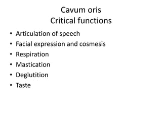 Oral cavity & Salivary Gland anatomy - Kathryn Boyce | PPTX