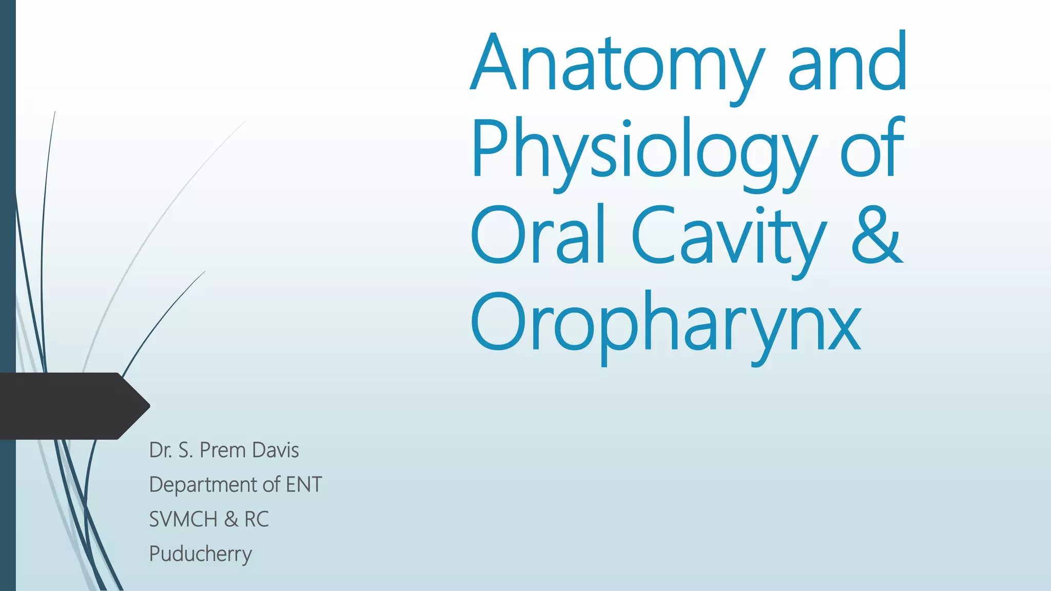 Anatomy and Physiology of Oral Cavity & Oropharynx | PPTX | Ear, Nose and Throat Conditions ...