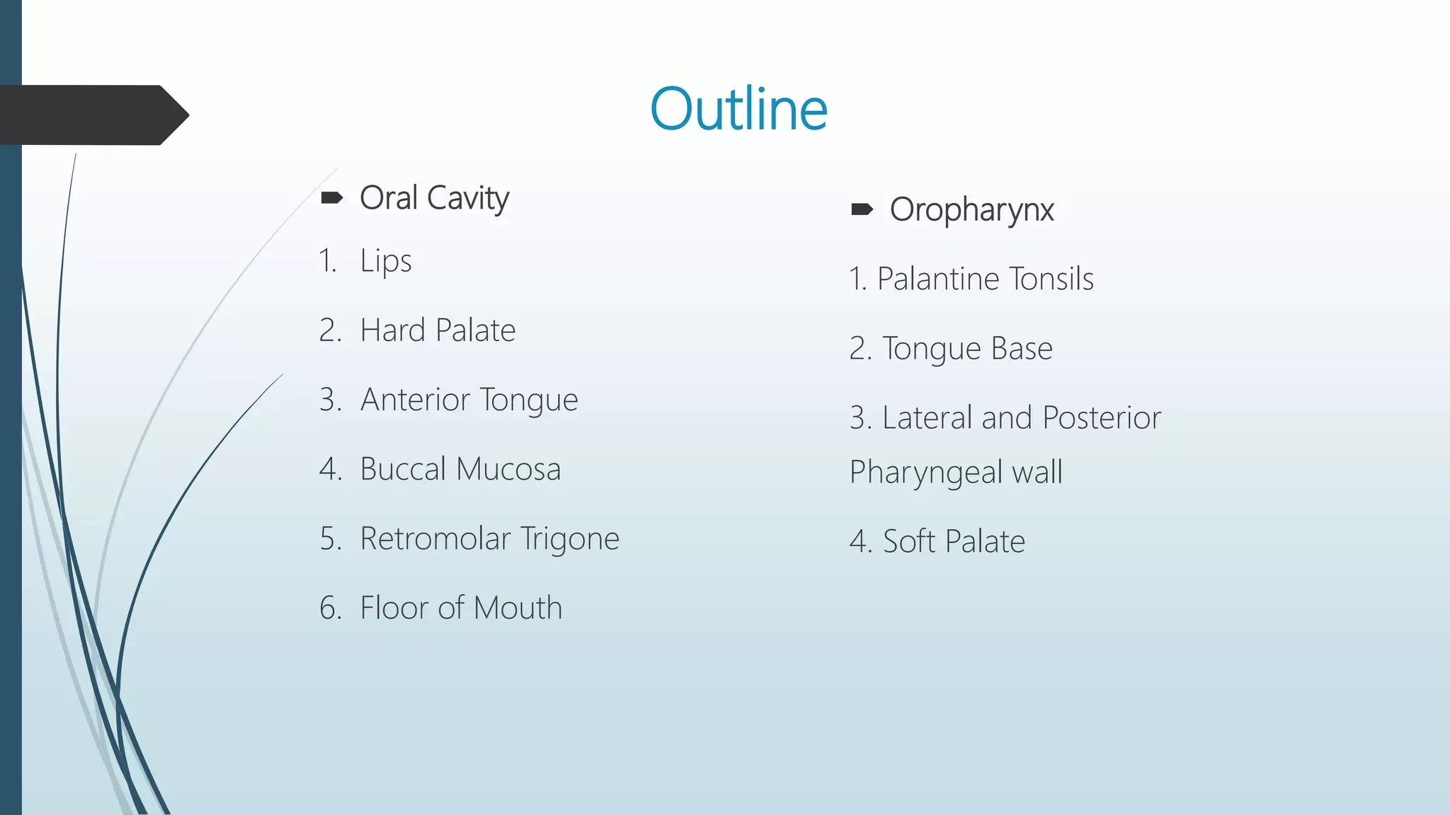 Anatomy and Physiology of Oral Cavity & Oropharynx | PPTX | Ear, Nose and Throat Conditions ...