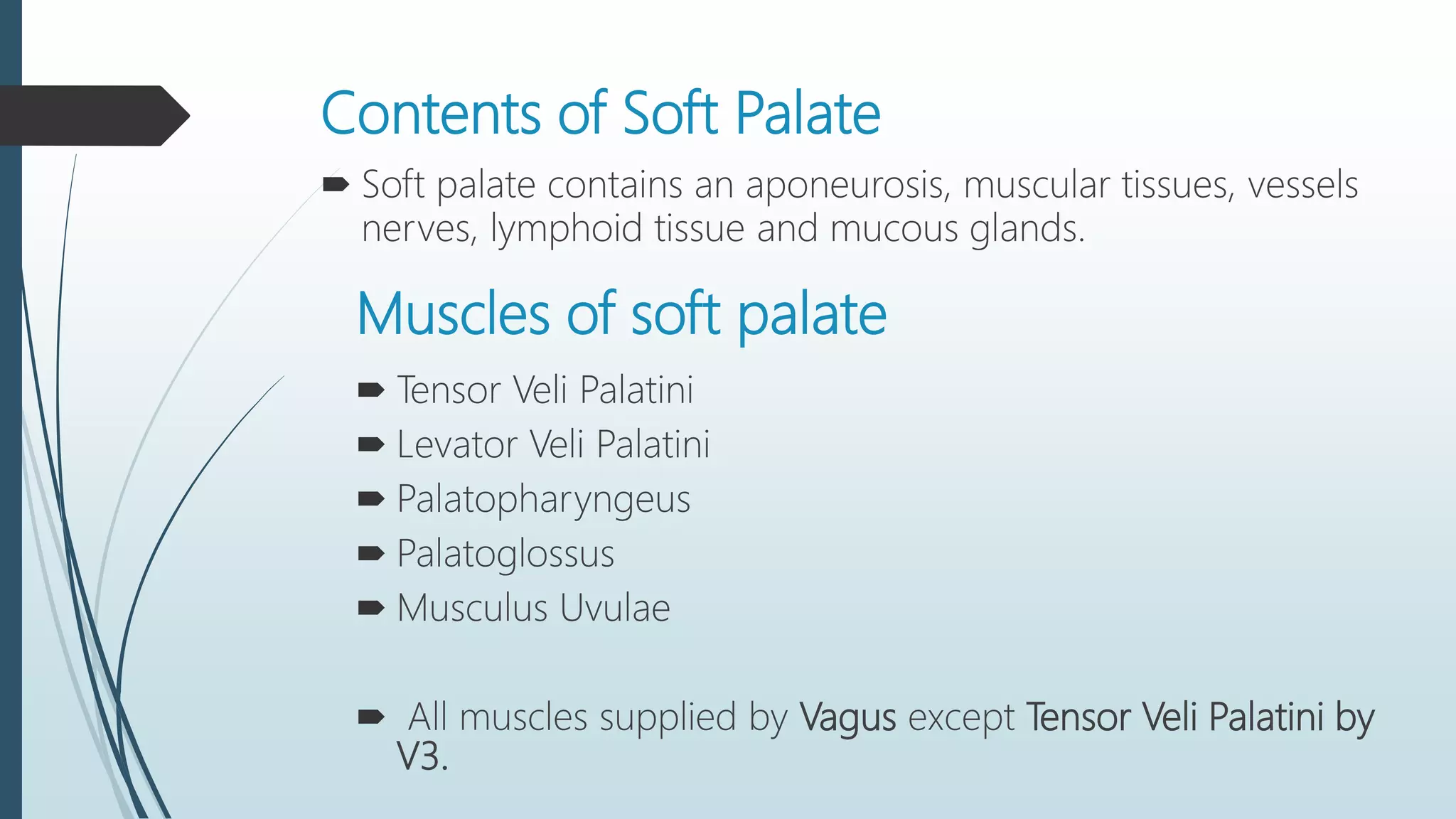 Anatomy and Physiology of Oral Cavity & Oropharynx | PPTX