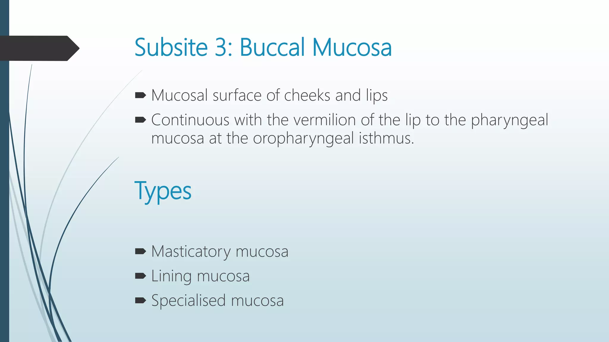 Anatomy and Physiology of Oral Cavity & Oropharynx | PPTX