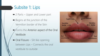 Anatomy and Physiology of Oral Cavity & Oropharynx | PPTX