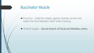 Anatomy and Physiology of Oral Cavity & Oropharynx | PPTX
