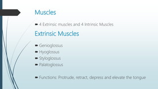 Anatomy and Physiology of Oral Cavity & Oropharynx | PPTX