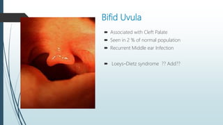 Anatomy and Physiology of Oral Cavity & Oropharynx | PPT