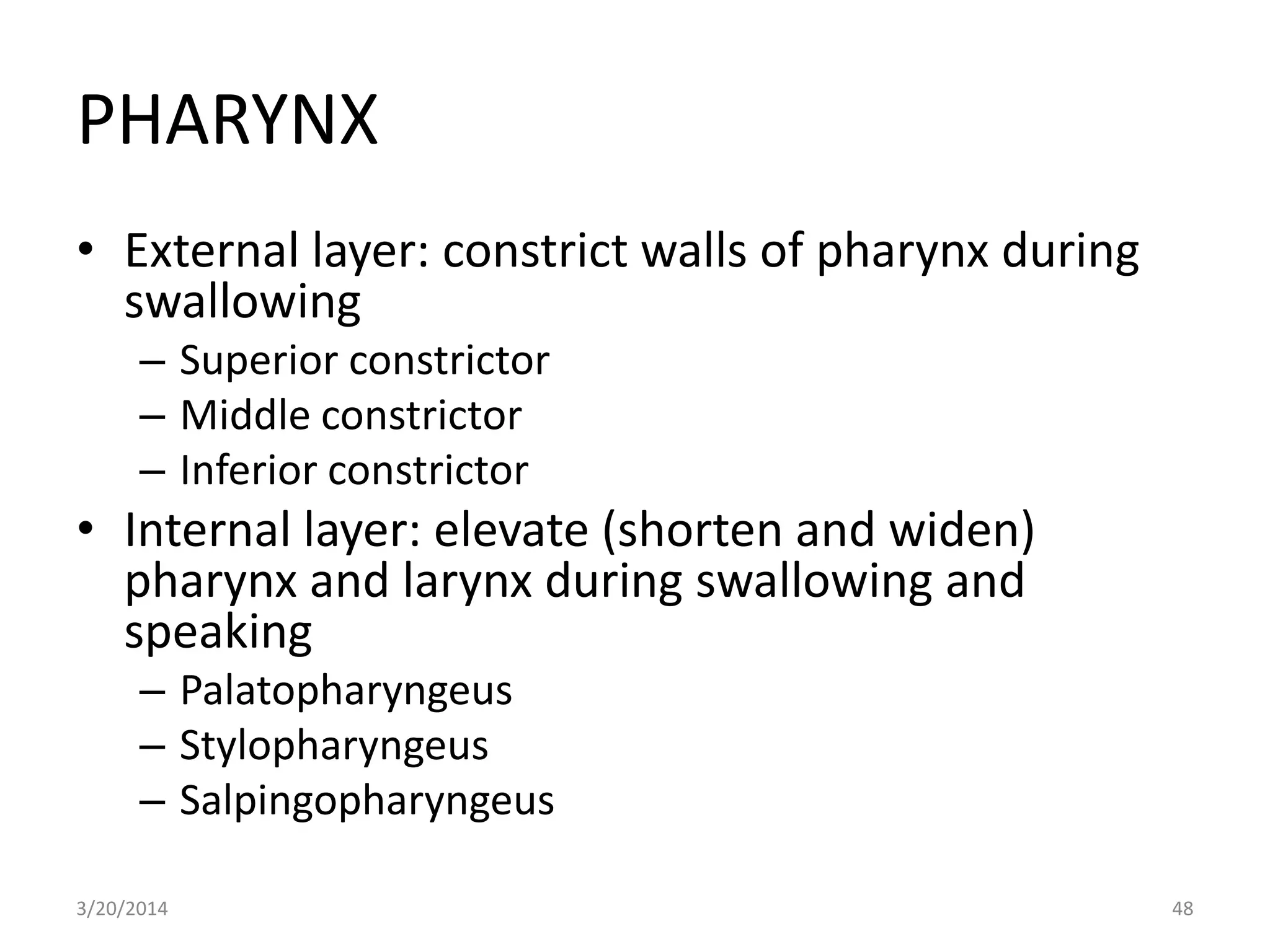 Anatomy of Oral Region and Pharynx | PPTX