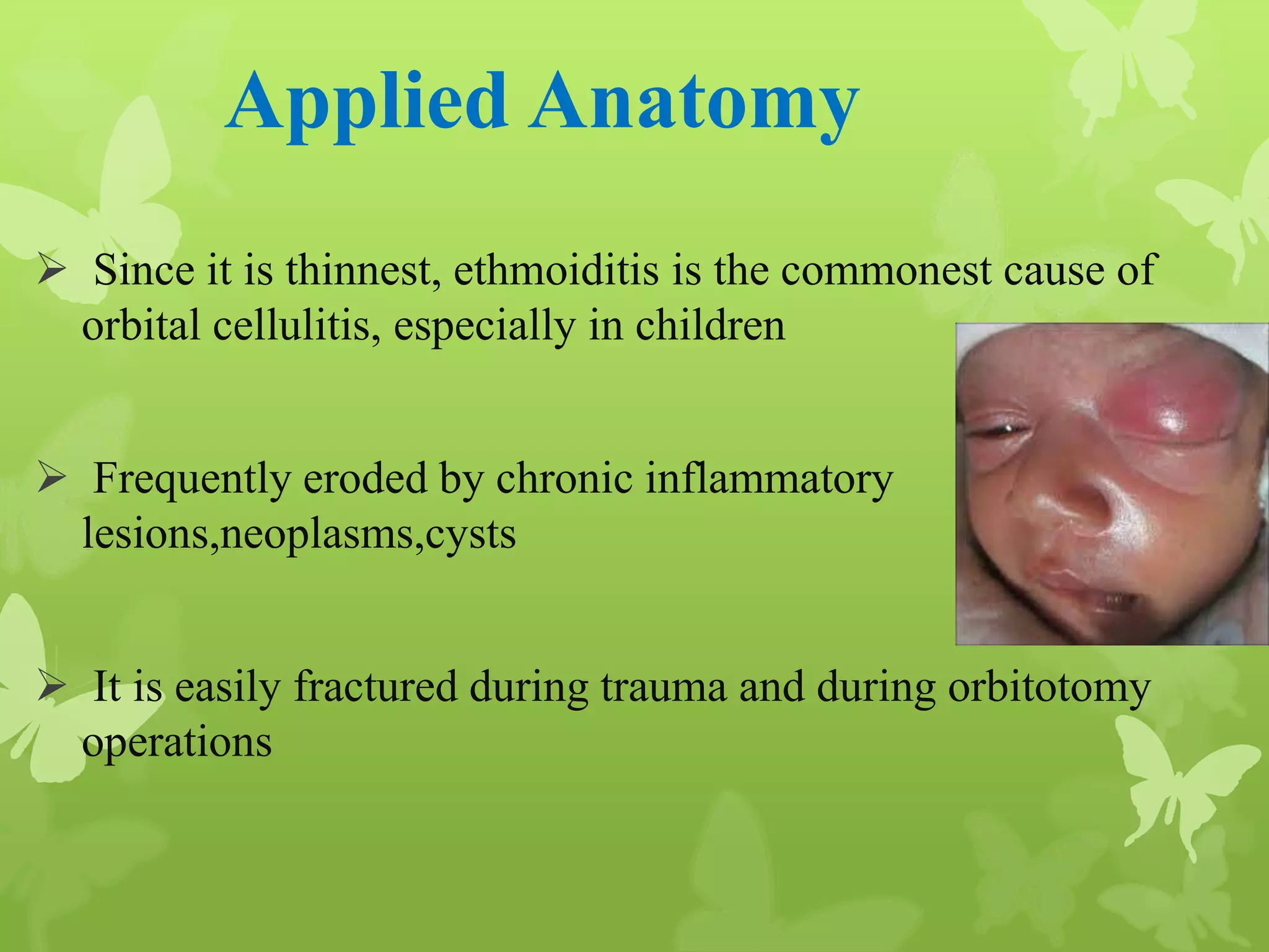 Anatomy of orbit | PPTX