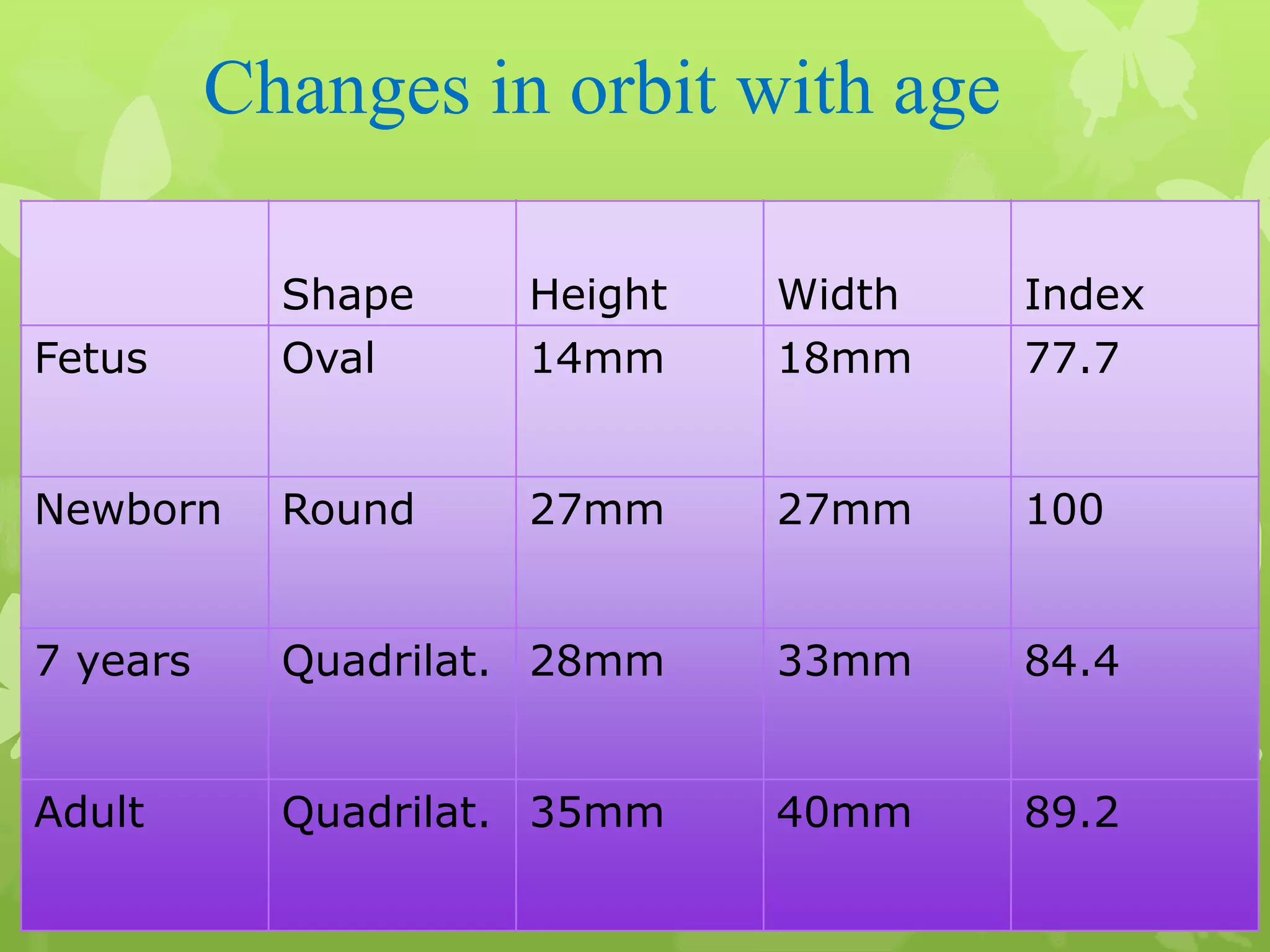 Anatomy of orbit | PPTX