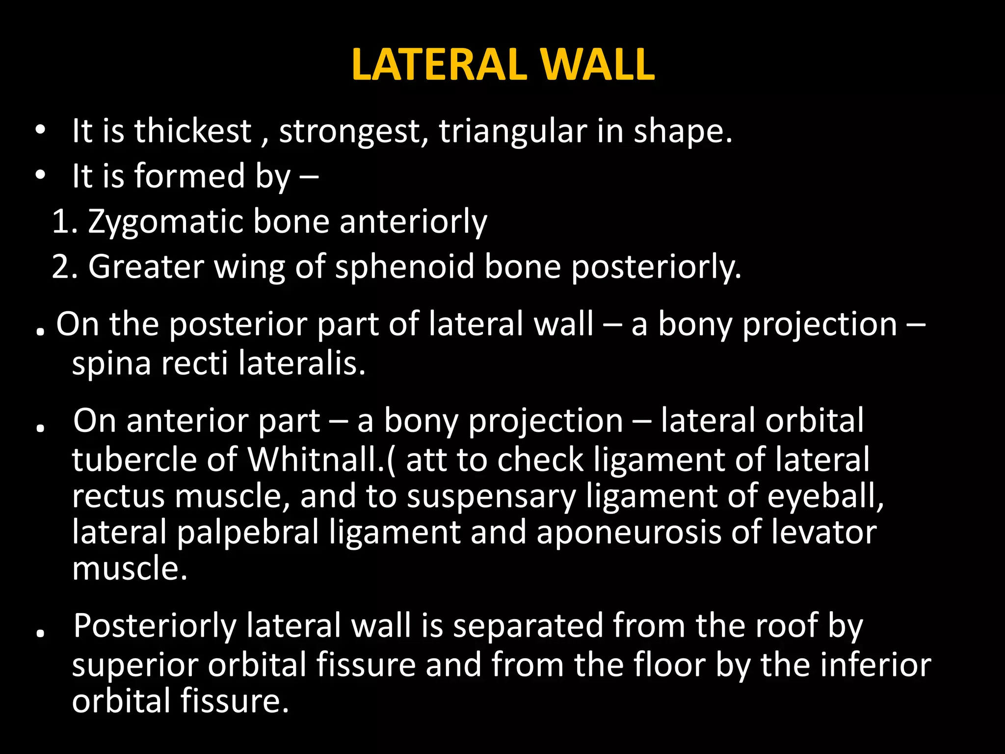 Anatomy of orbit | PPTX