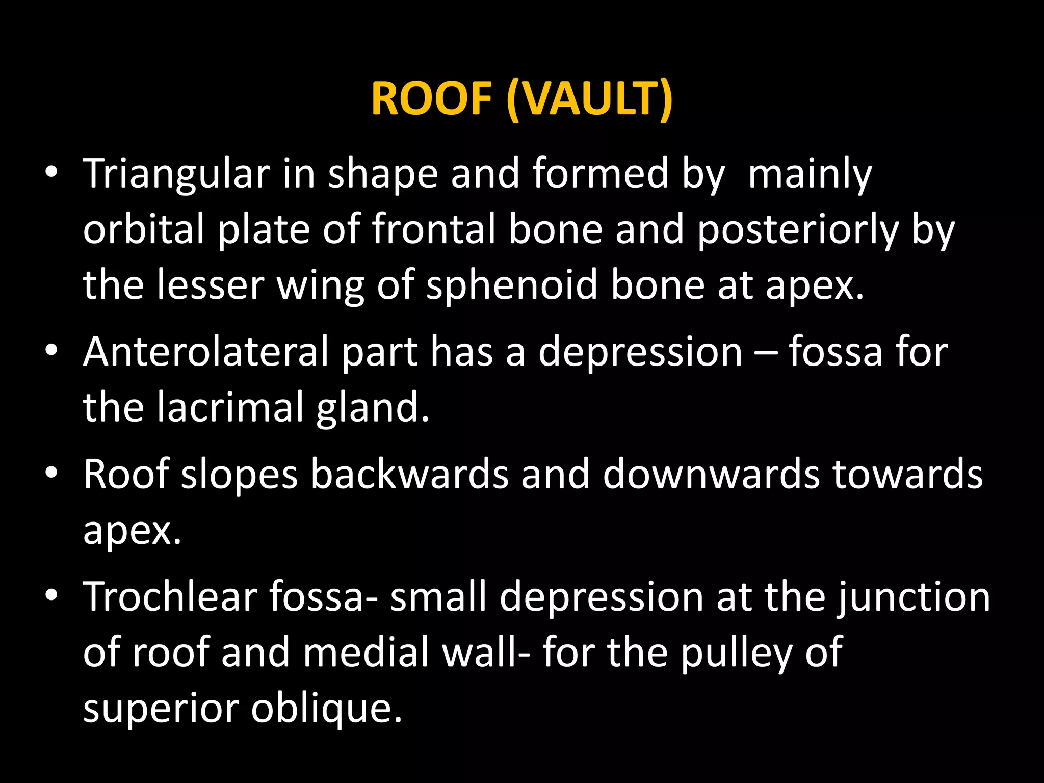 Anatomy of orbit | PPTX