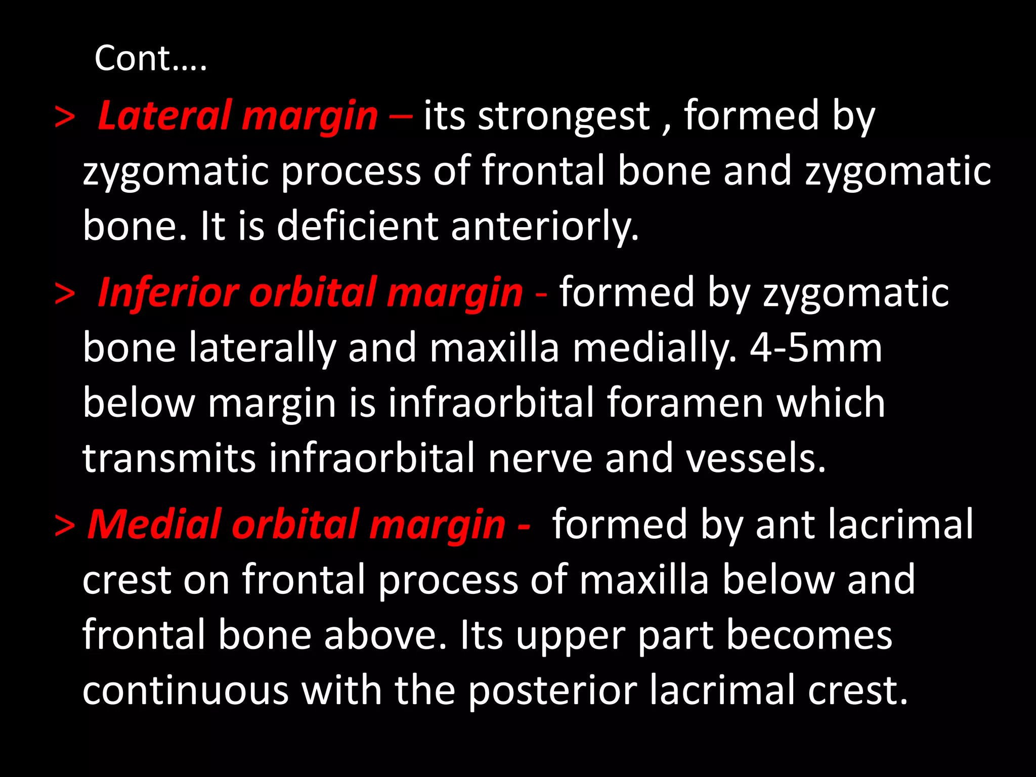 Anatomy of orbit | PPTX