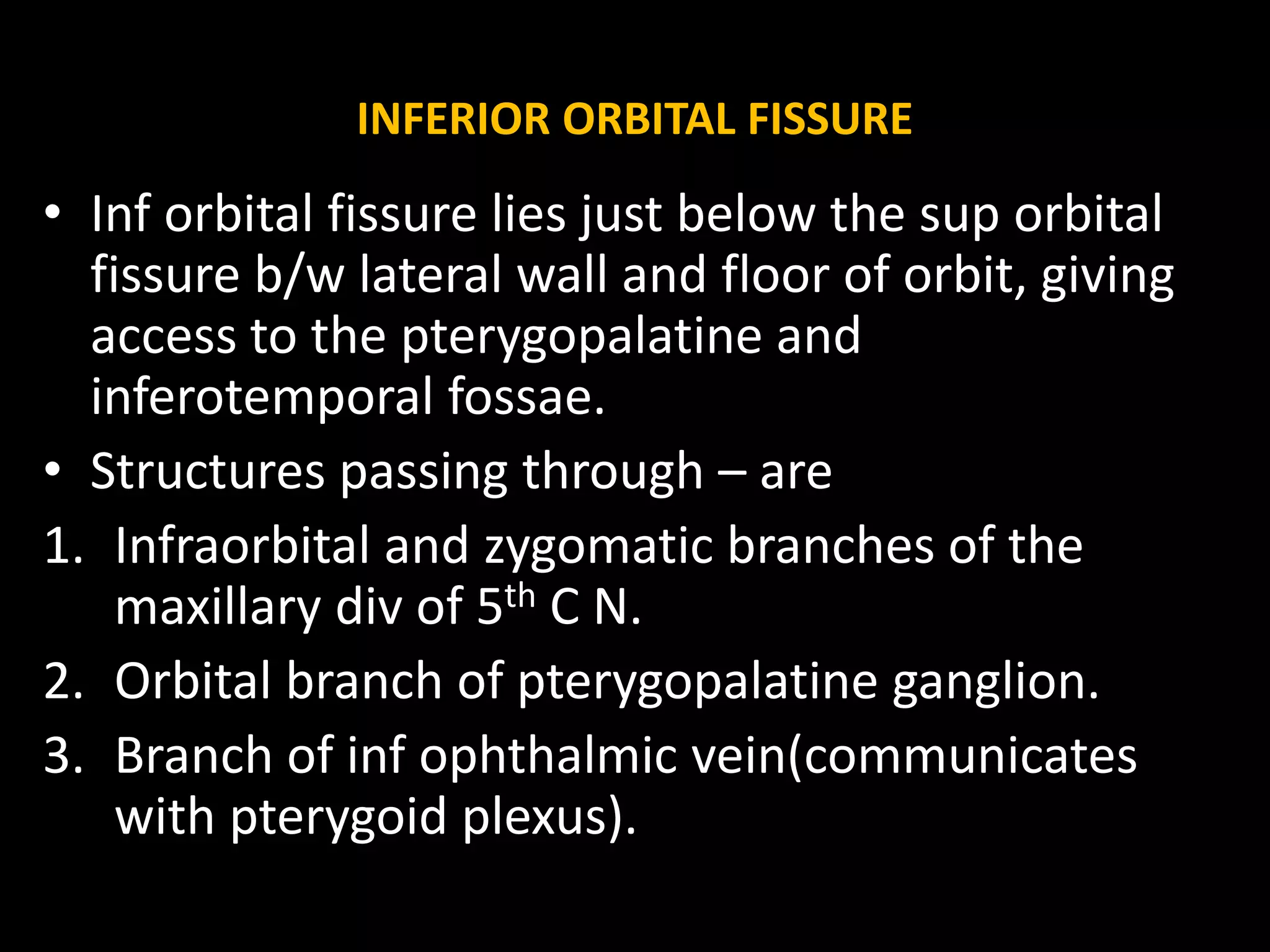 Anatomy of orbit | PPTX