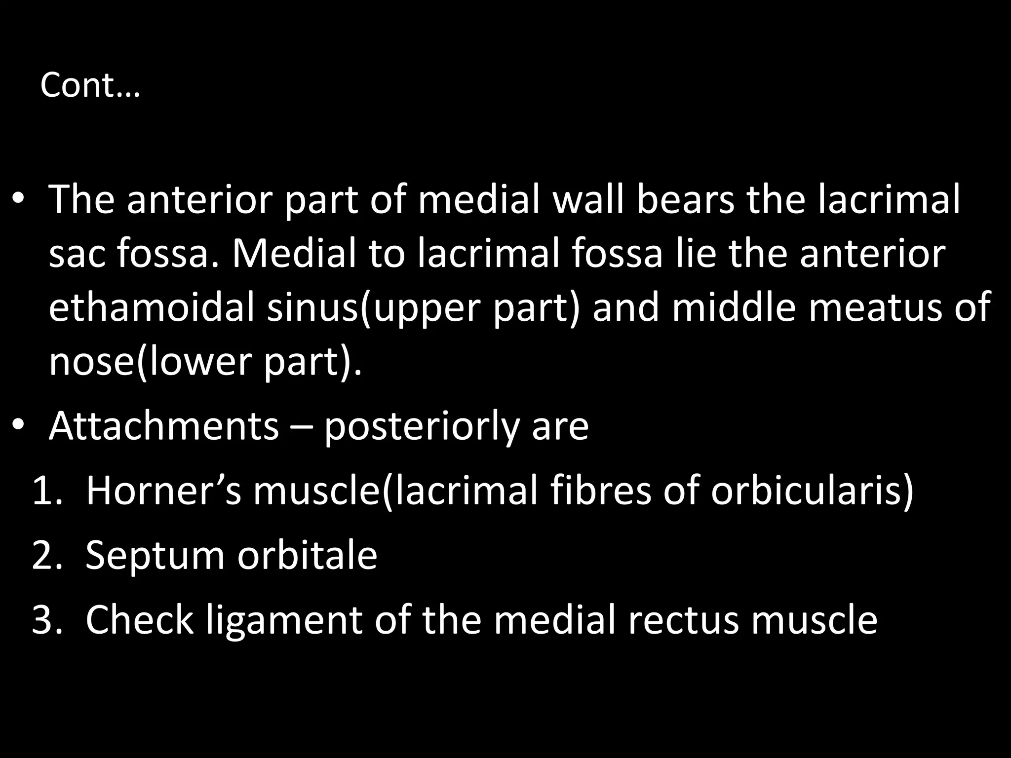 Anatomy of orbit | PPTX