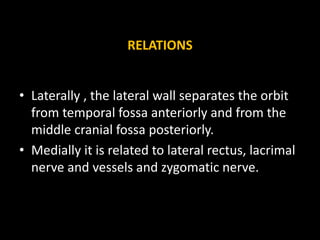 Anatomy of orbit | PPTX