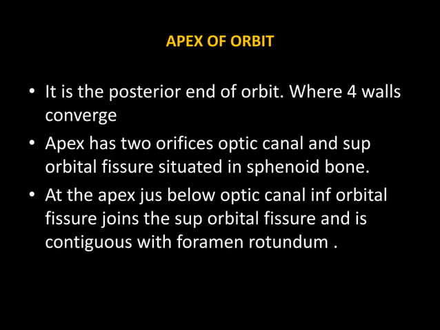Anatomy of orbit | PPTX
