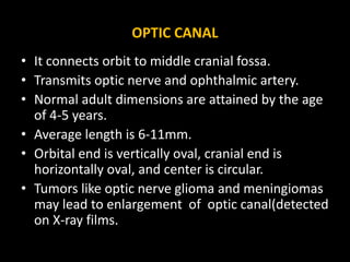 Anatomy of orbit | PPTX