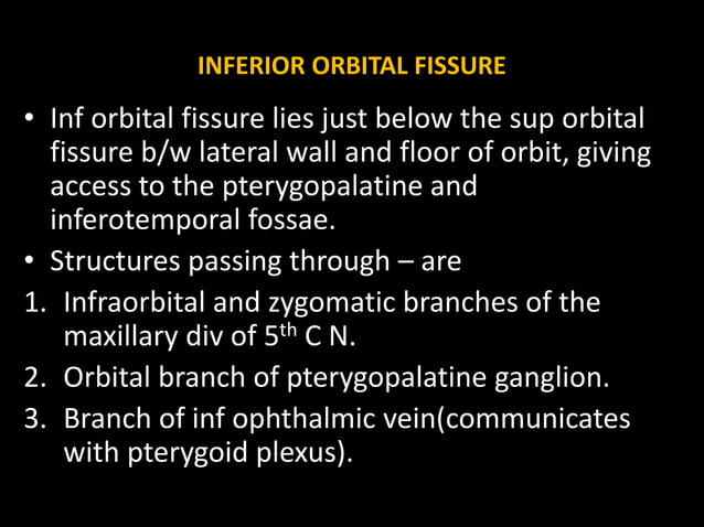 Anatomy of orbit | PPTX