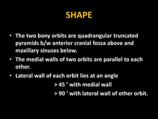 Anatomy of orbit | PPTX