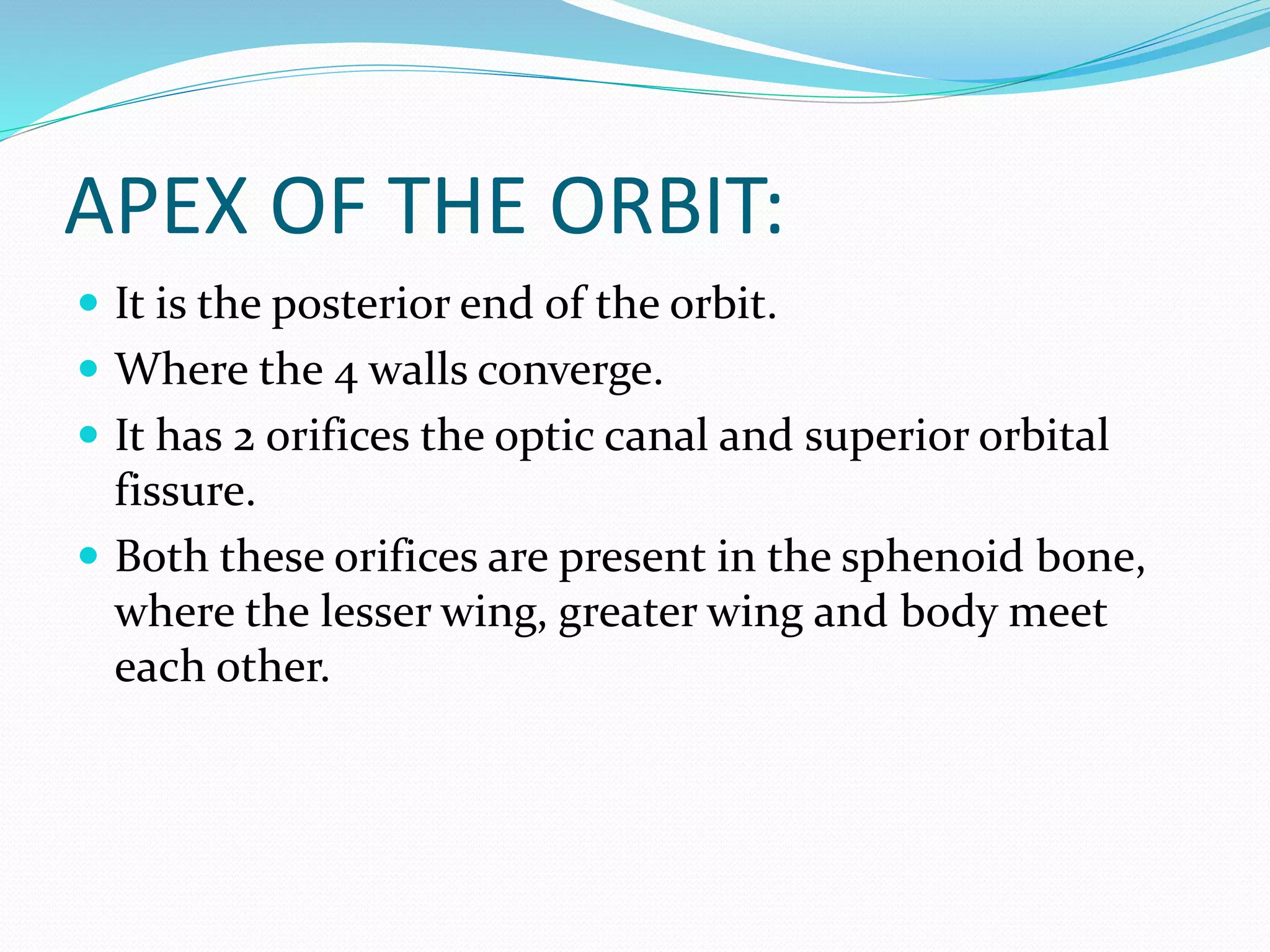 Anatomy of orbit | PPT