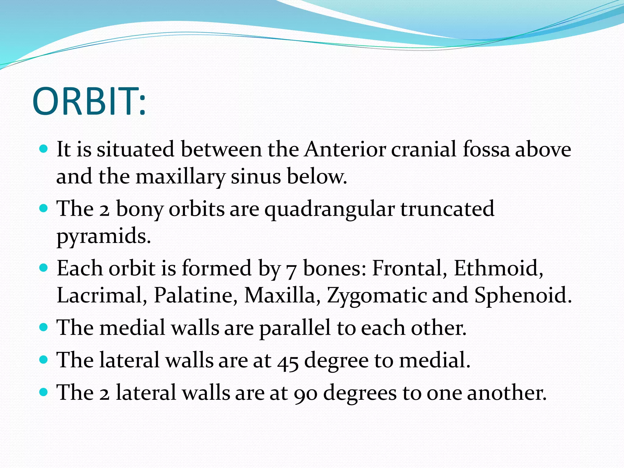 Anatomy of orbit | PPT