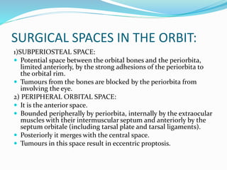 Anatomy of orbit | PPT