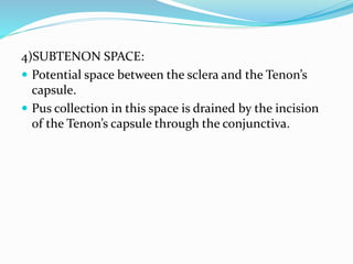 Anatomy of orbit | PPT