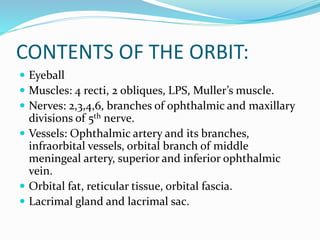 Anatomy of orbit | PPTX