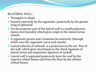 Anatomy of orbit | PPTX