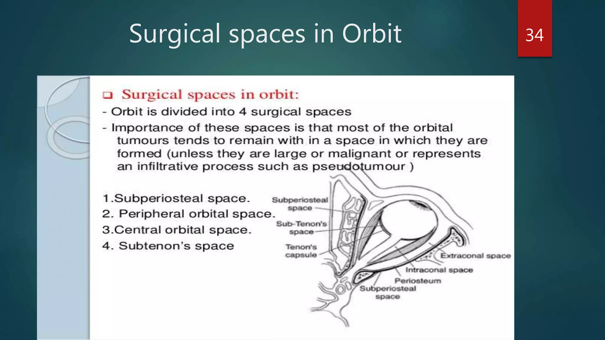Anatomy of orbit | PPTX