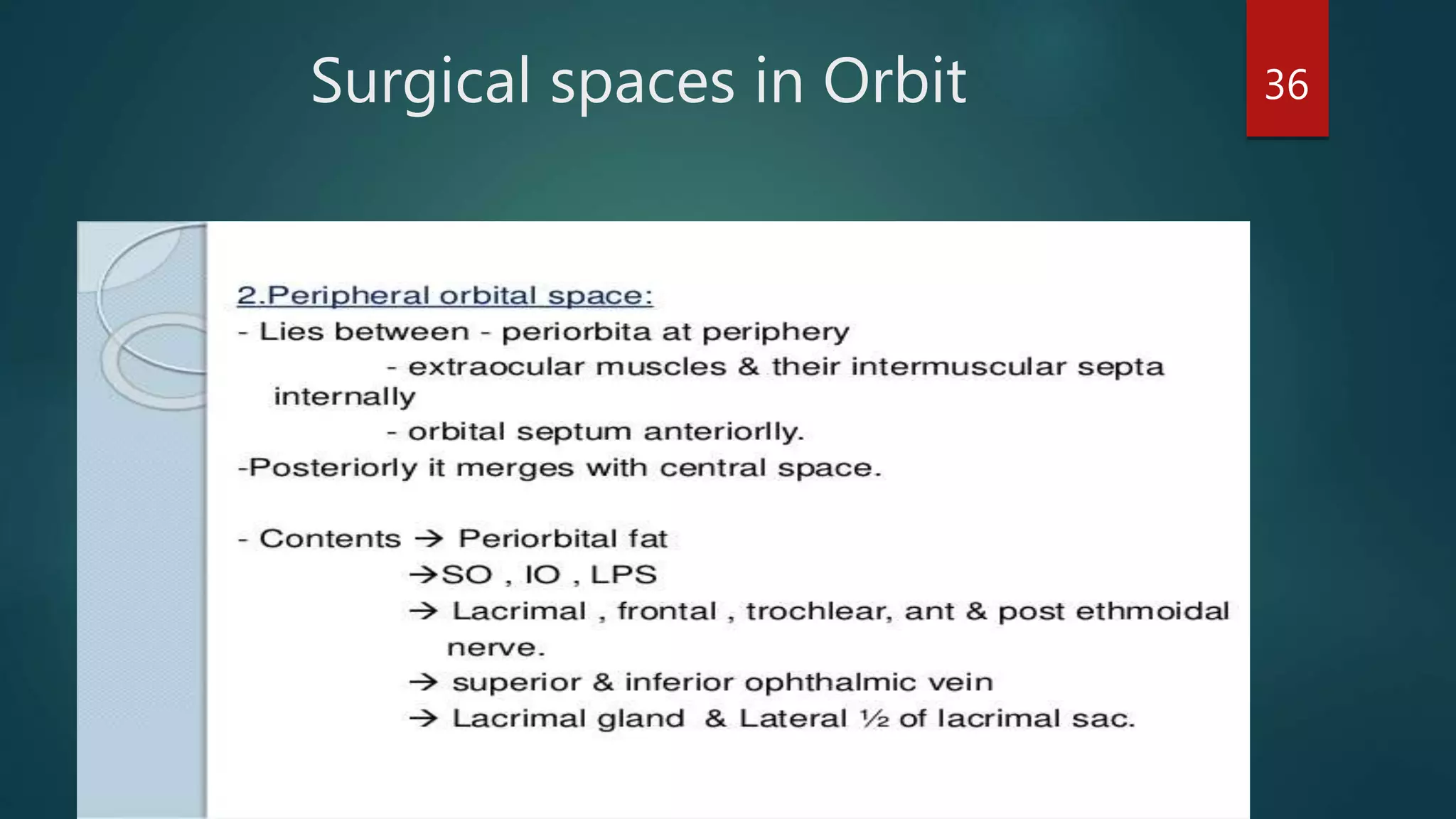 Anatomy of orbit | PPTX