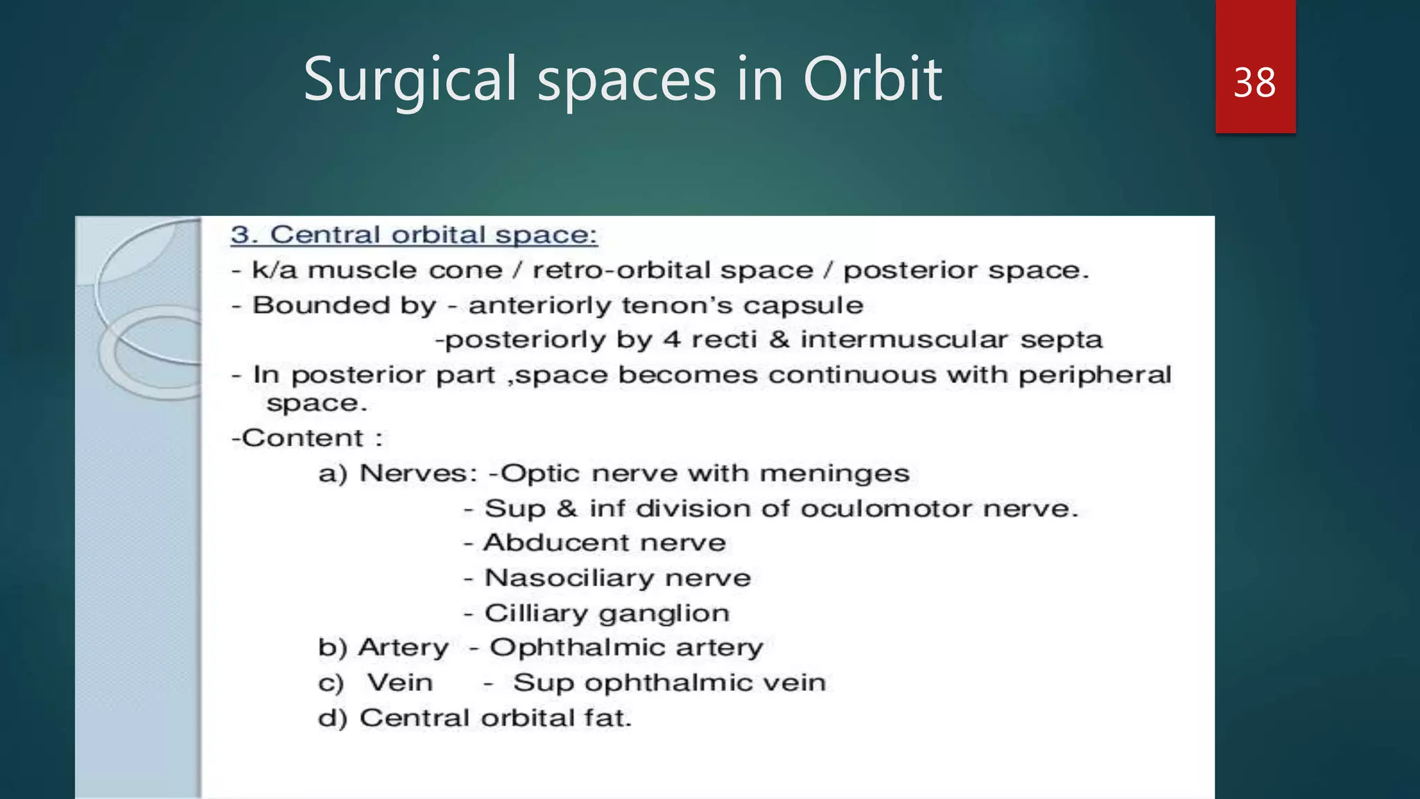 Anatomy of orbit | PPTX