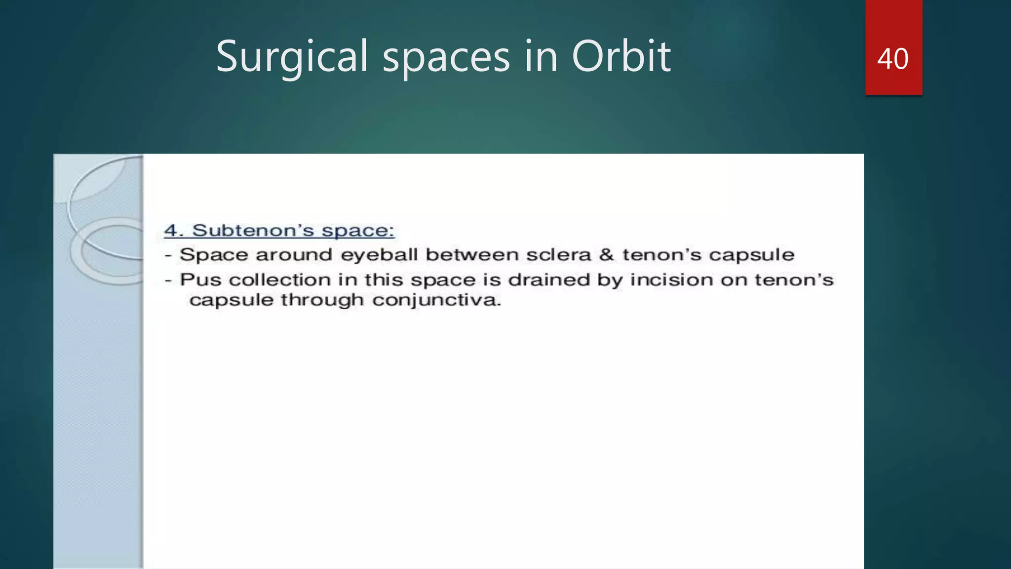 Anatomy of orbit | PPTX