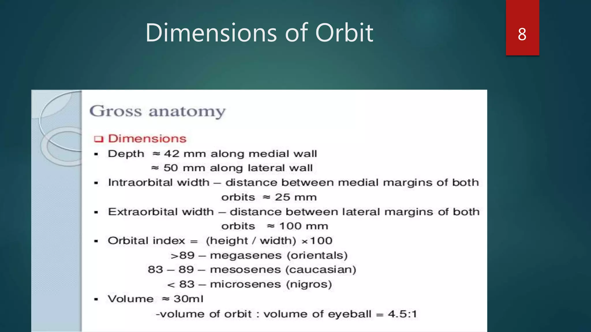 Anatomy of orbit | PPTX