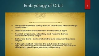Anatomy of orbit | PPTX