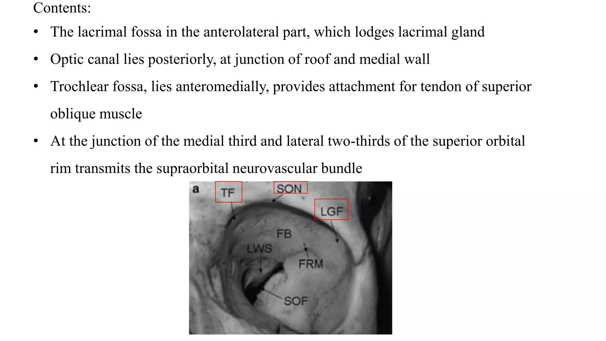 Anatomy of orbit | PPTX