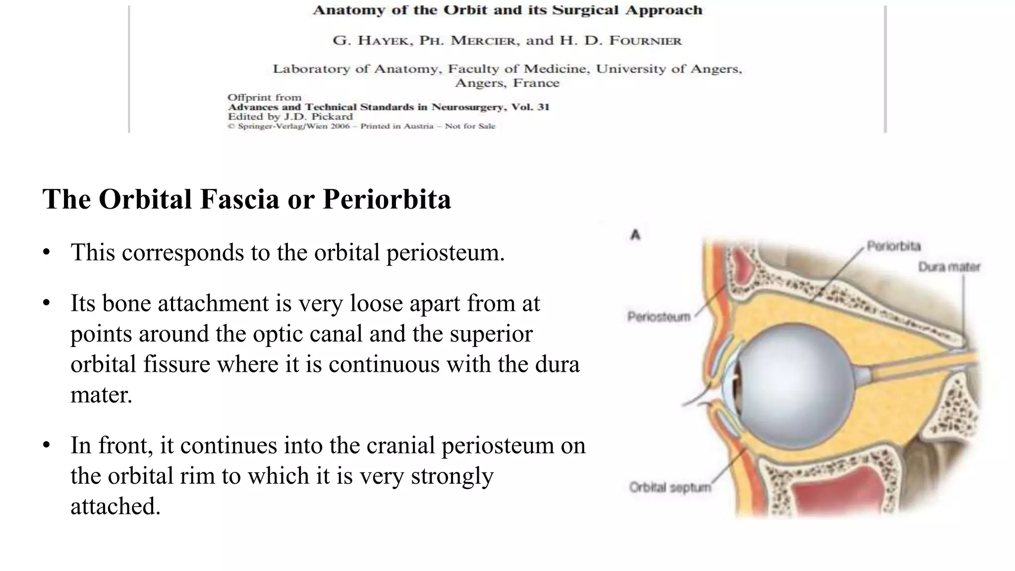 Anatomy of orbit | PPTX