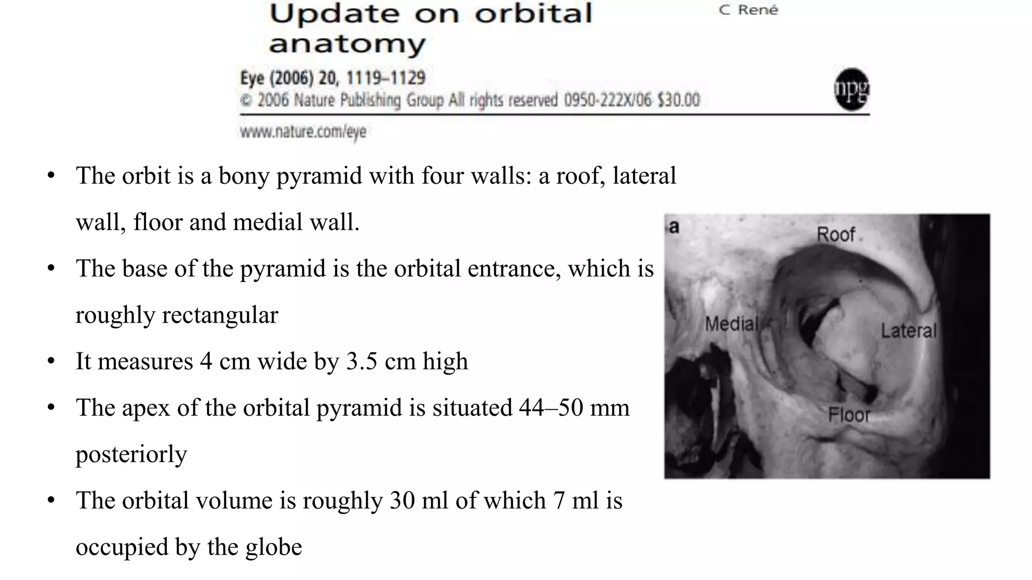 Anatomy of orbit | PPTX