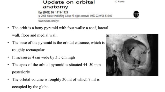 Anatomy of orbit | PPTX